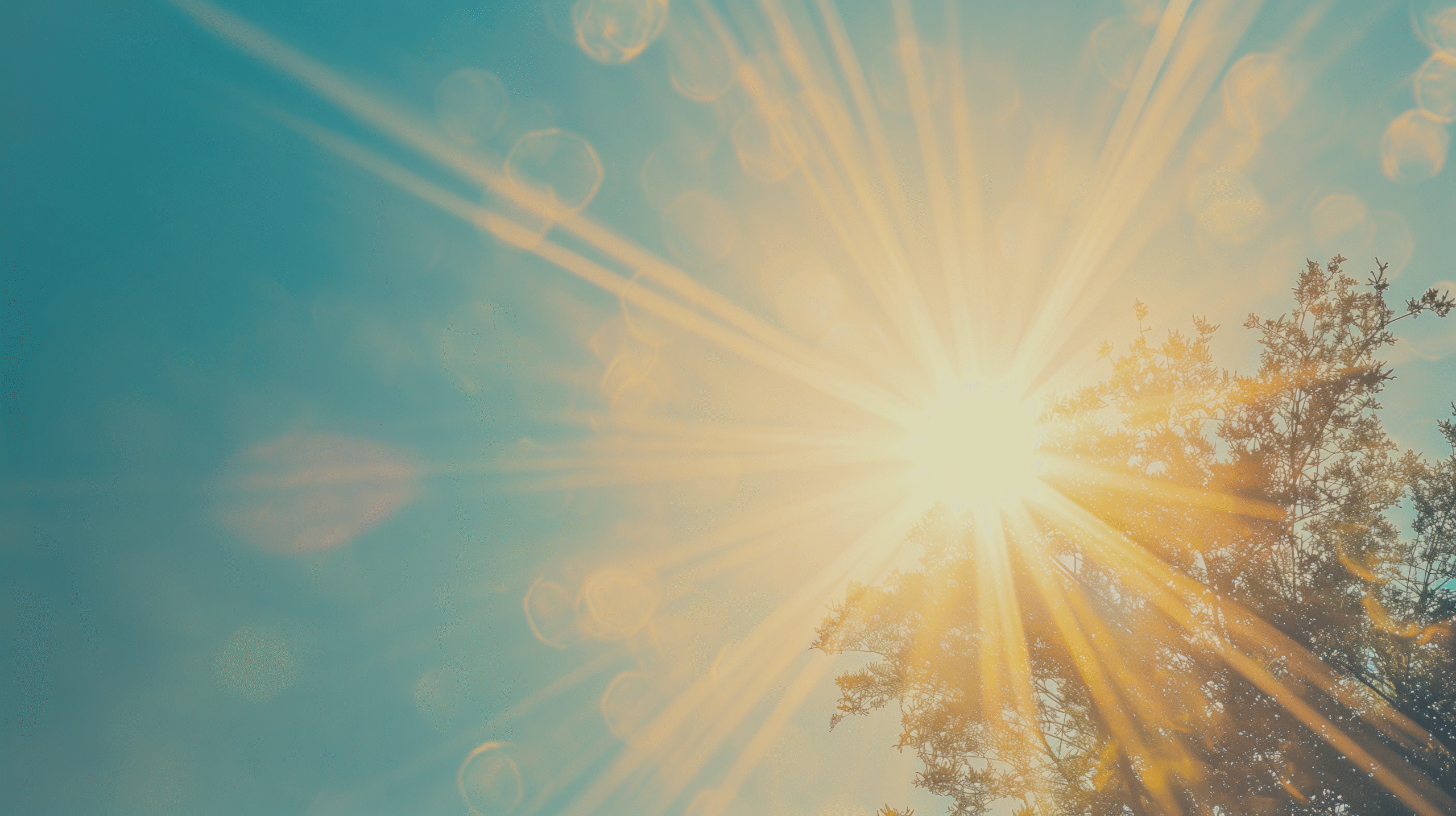 Project Ray Eligibility | Economic Architecture